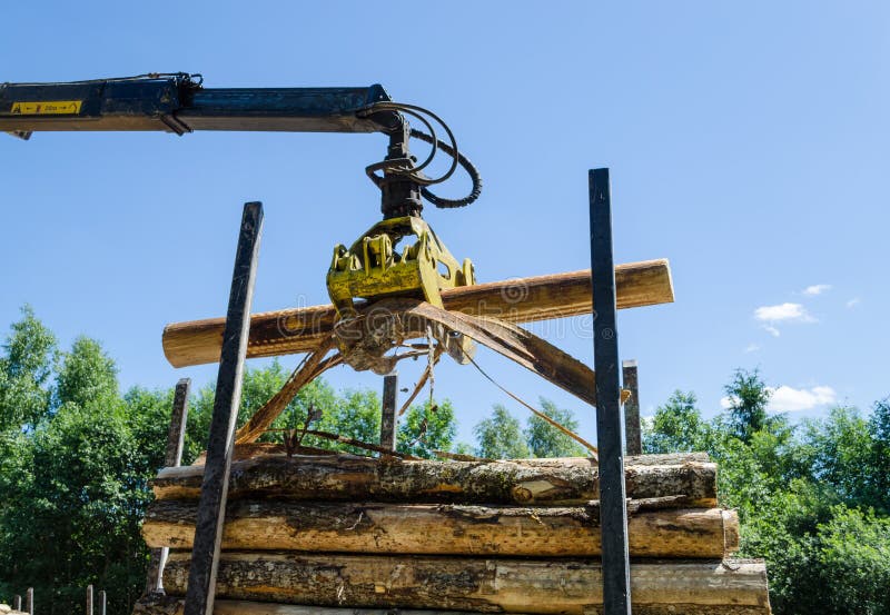 Forestry Cutter Loading Cut Logs in Pile Trailer Stock Photo - Image of ...