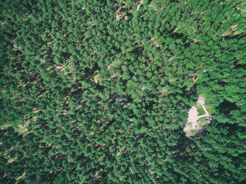 Forestry frome drone stock photo. Image of cutting, analysis - 312616068