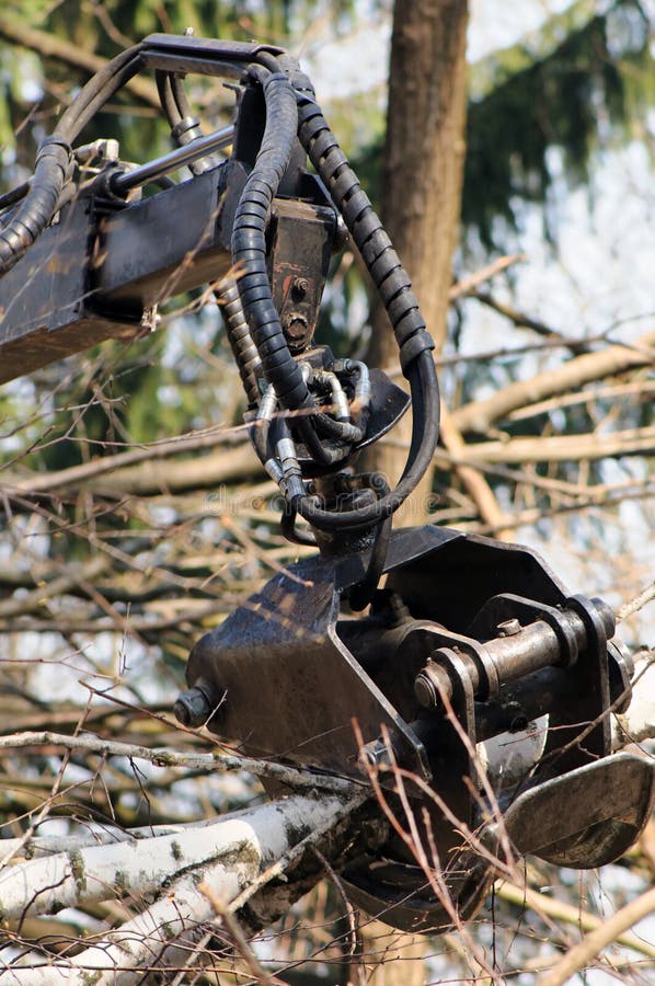 Forestry grapple stock photo. Image of lift, carrying - 42882732