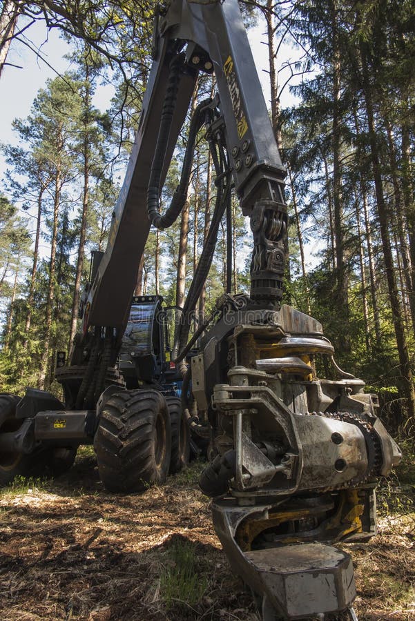 Forestry Harvester during a Stoppage among Trees Stock Photo - Image of ...