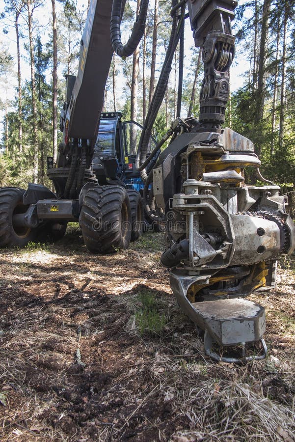 Forestry Harvester during a Stoppage among Trees Stock Photo - Image of ...