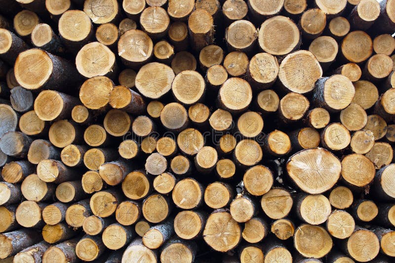 Forestry Industry Timber Stack Wood Pattern Logs Texture Stock Image ...