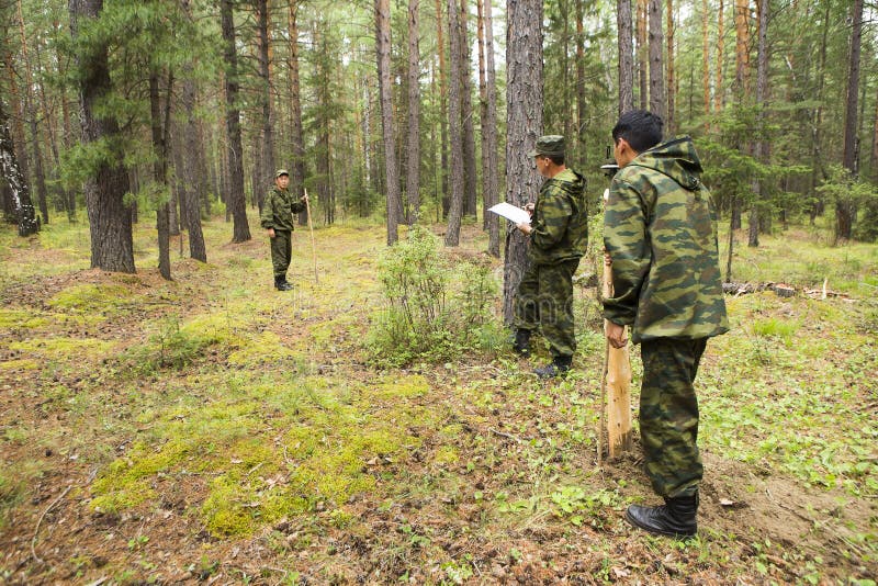Forest Inspectors Work in the Forest. Stock Photo - Image of east ...