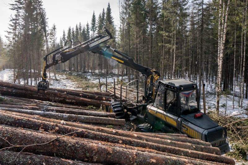 Image of Logger Cut Down Trees in Winter Forest Stock Image - Image of ...