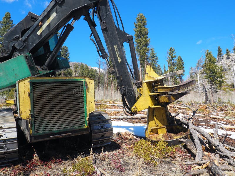 Forestry and Logging Site stock image. Image of logging - 137619127