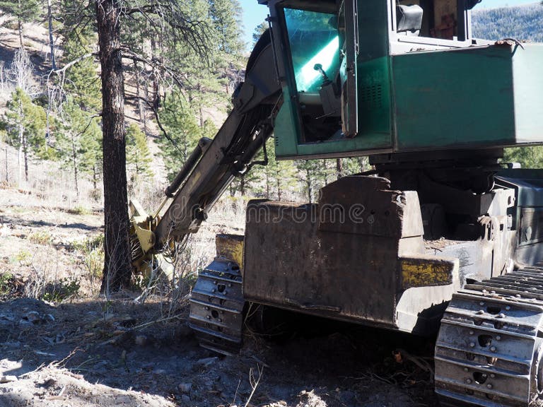 Forestry and Logging Site stock photo. Image of forestry - 137619578