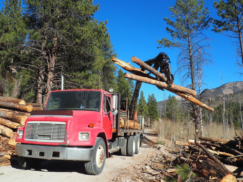 Forestry and Logging Site stock image. Image of logs - 137619545