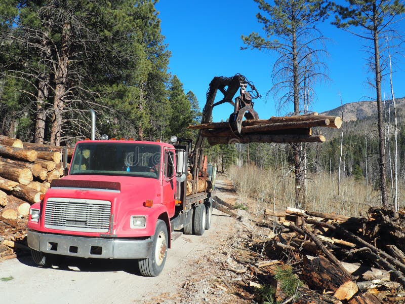 Forestry and Logging Site stock photo. Image of logging - 137619876