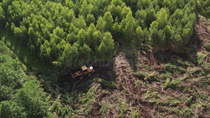 Forestry Machine Destroying Forest for Wood Production Stock Footage ...