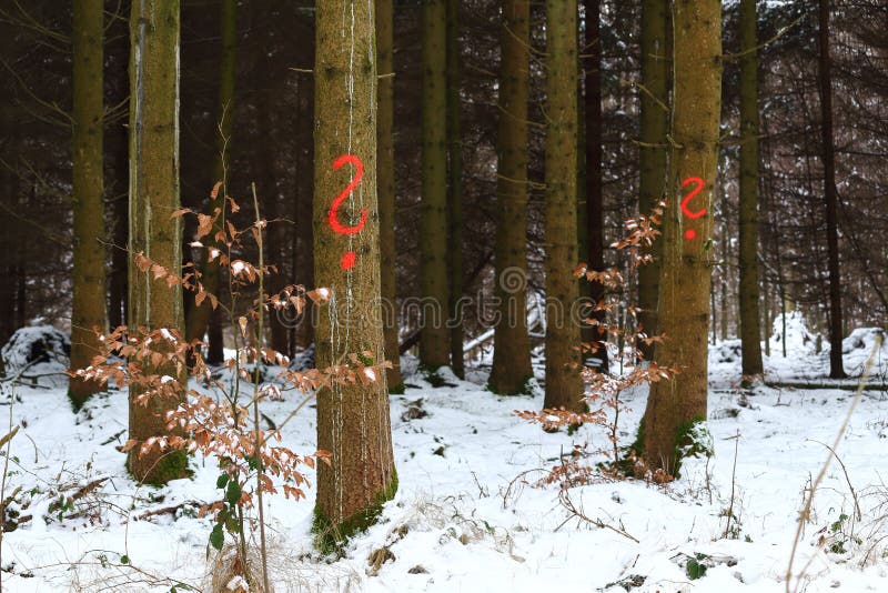 Tree Question Marks Stock Photos - Free & Royalty-Free Stock Photos ...