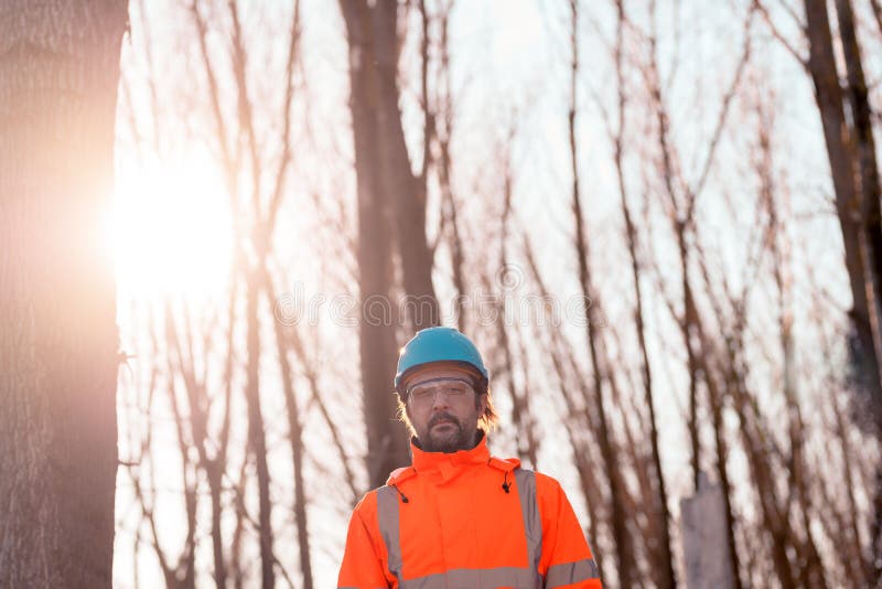 Forestry Technician in Forest, Portrait of Tree Nursery Professional ...