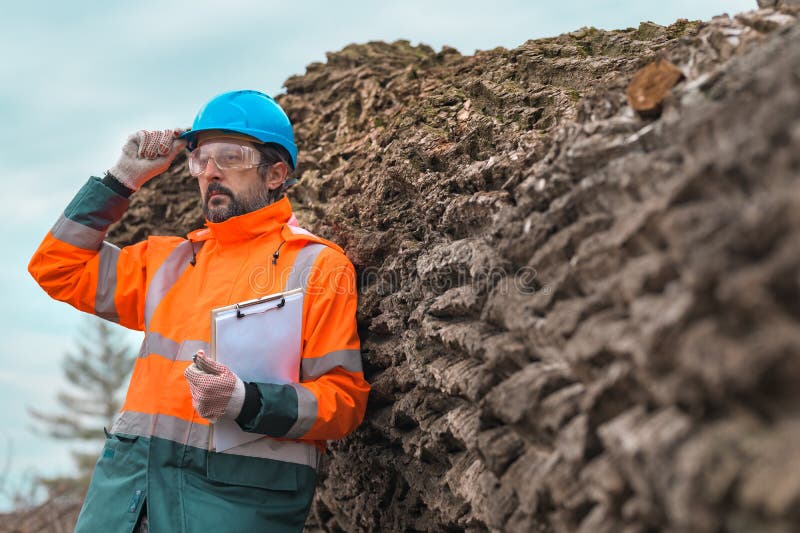 Forestry Technician Posing with Clipboard Notepad Next To Tree Log ...