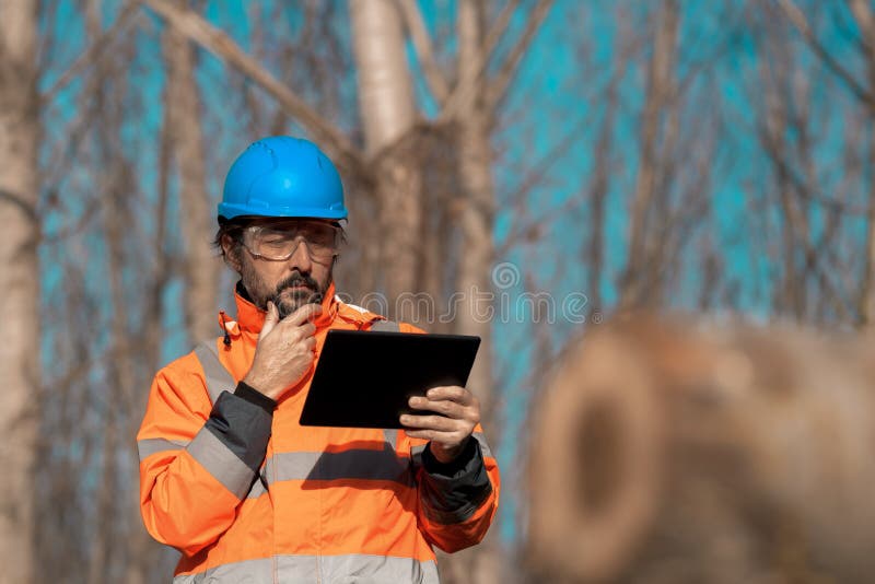 Forestry Technician Using Digital Tablet Computer in Forest Stock Image ...