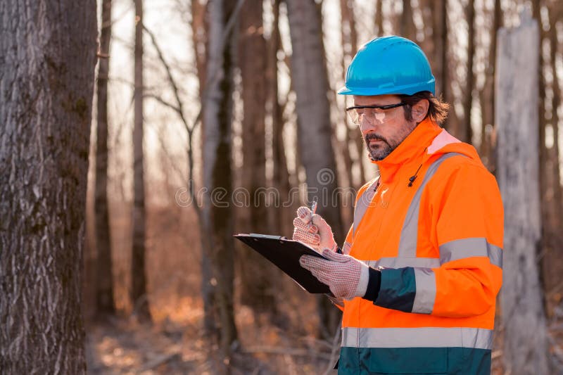 Forestry Technician Writing Notes on Clipboard Notepad Paper in Forest ...
