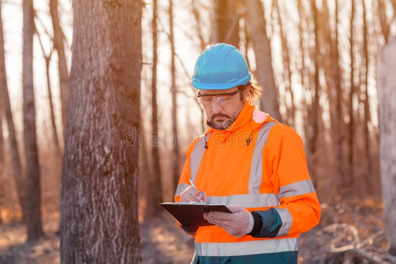 Forestry Technician Writing Notes on Clipboard Notepad Paper in Forest ...