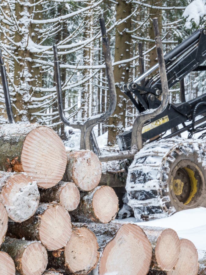 Forestry Tree Felling in Winter Stock Image - Image of work, large ...