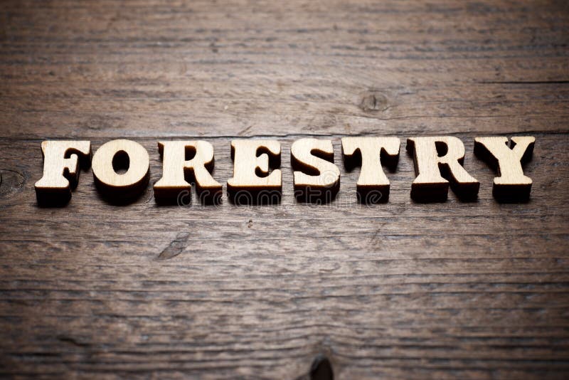 Forestry word view stock image. Image of forestry, fashioned - 177792713