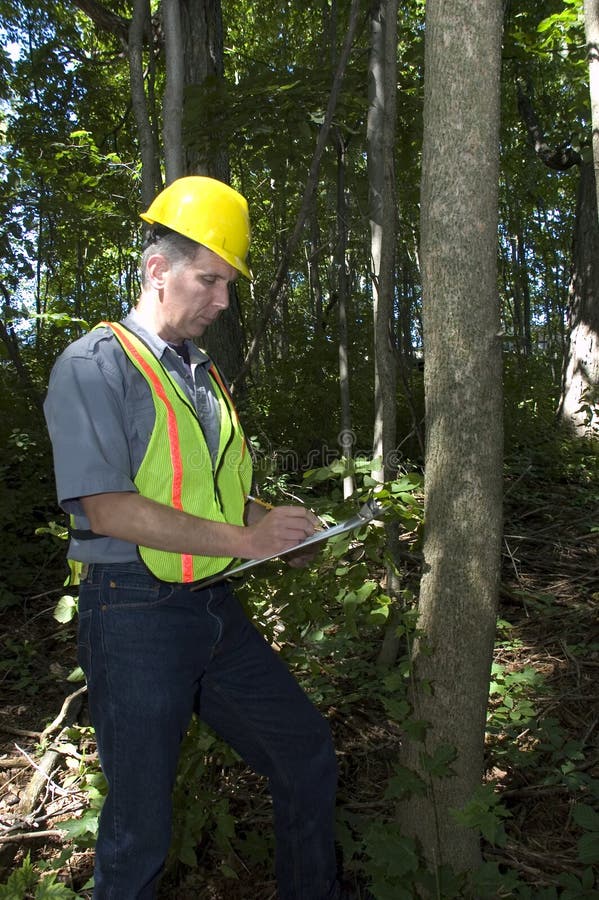 Forestry Worker, Man Working in Woods Stock Image - Image of work ...