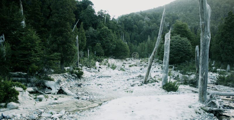 Forests Covered in Volcano Ashes Stock Image - Image of scenic ...