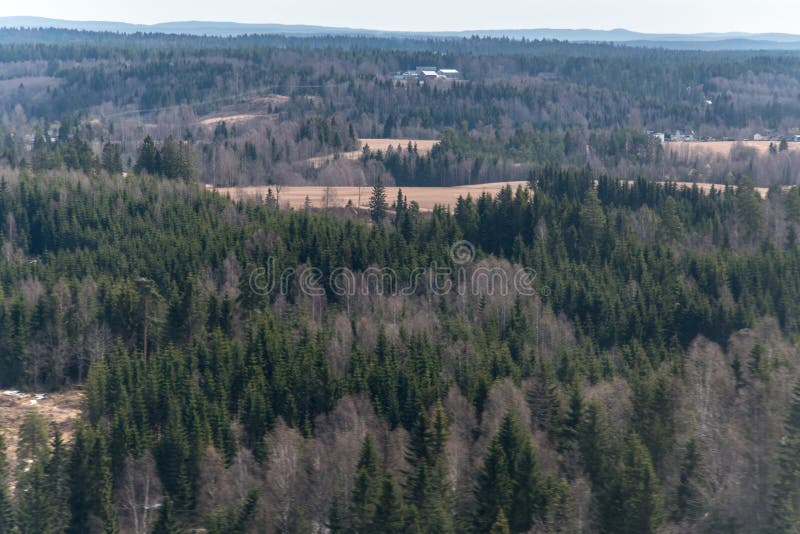 Forests and Fields, Large Trees and Fields Landscape Stock Photo ...