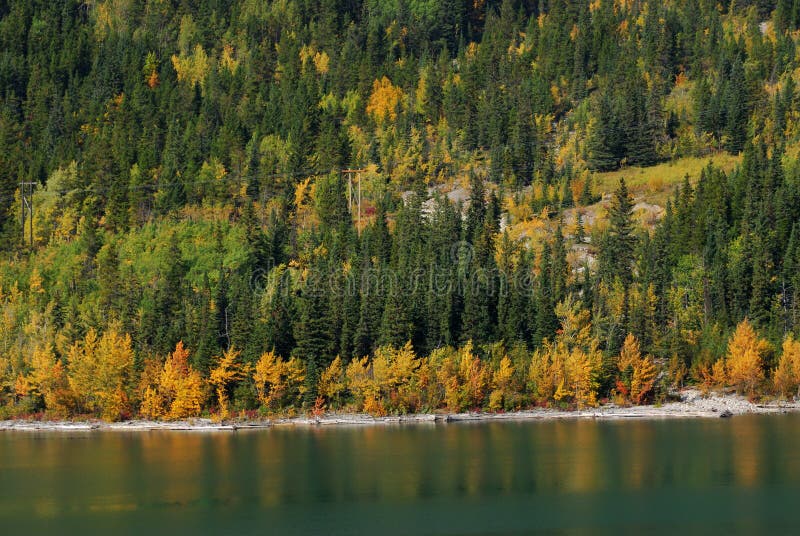 Forests at lakeside stock photo. Image of lakeside, aspin - 6939428