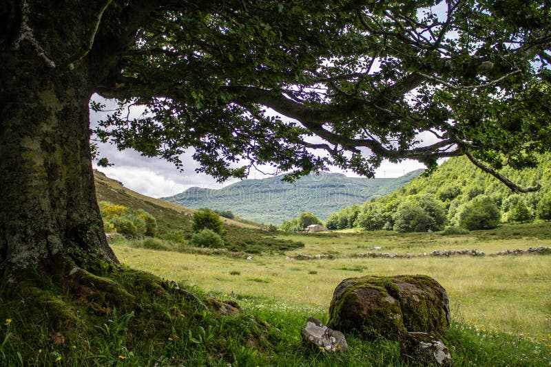 Forests and Mountains in Espinosa, Spain Stock Image - Image of ...