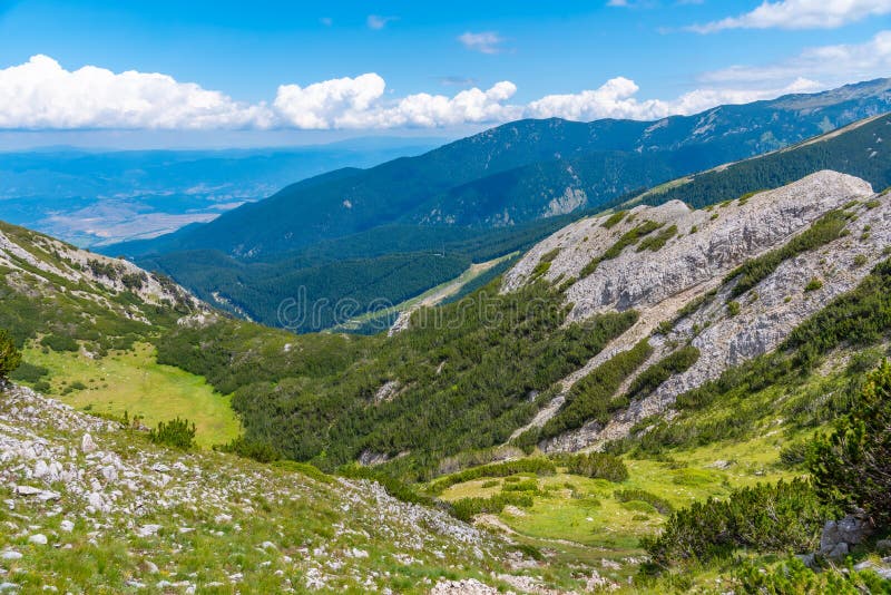 Forests Spreading on Hills of Pirin National Park in Bulgaria Stock ...