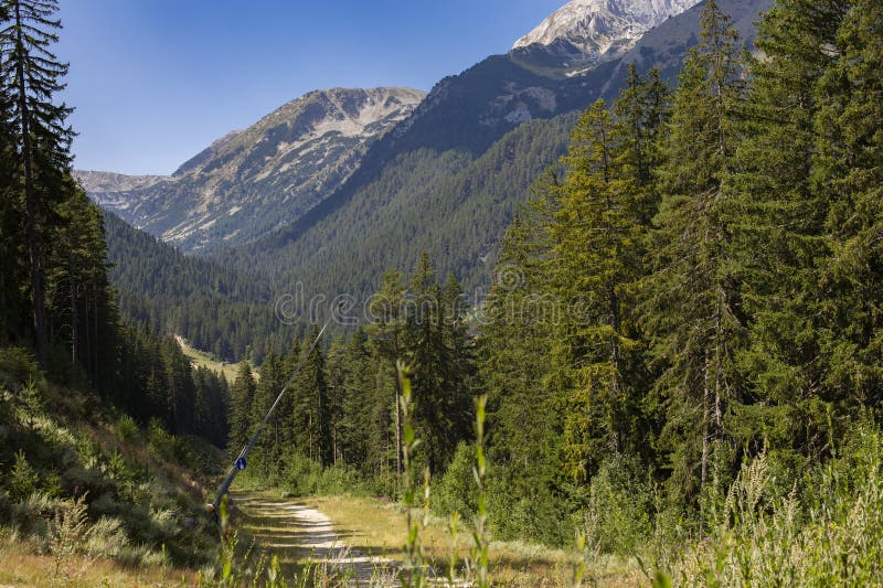 Forests Spreading on Hills of Pirin National Park in Bulgaria Stock ...