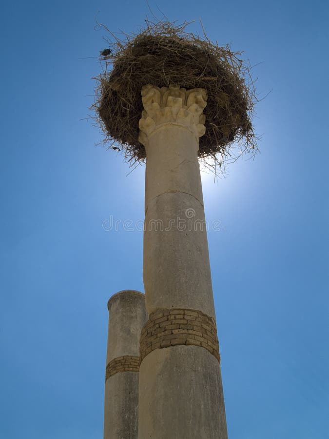Foretop on teh pillar stock photo. Image of light, archaeology - 7263490