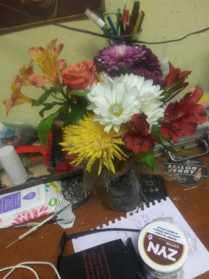 Forever Living flowers editorial stock image. Image of flowerpot ...