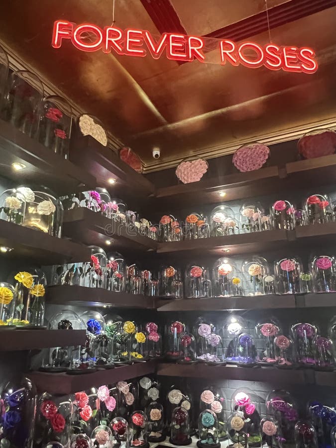 Forever Rose Store at BoxPark Development in Dubai, UAE Editorial Photo ...