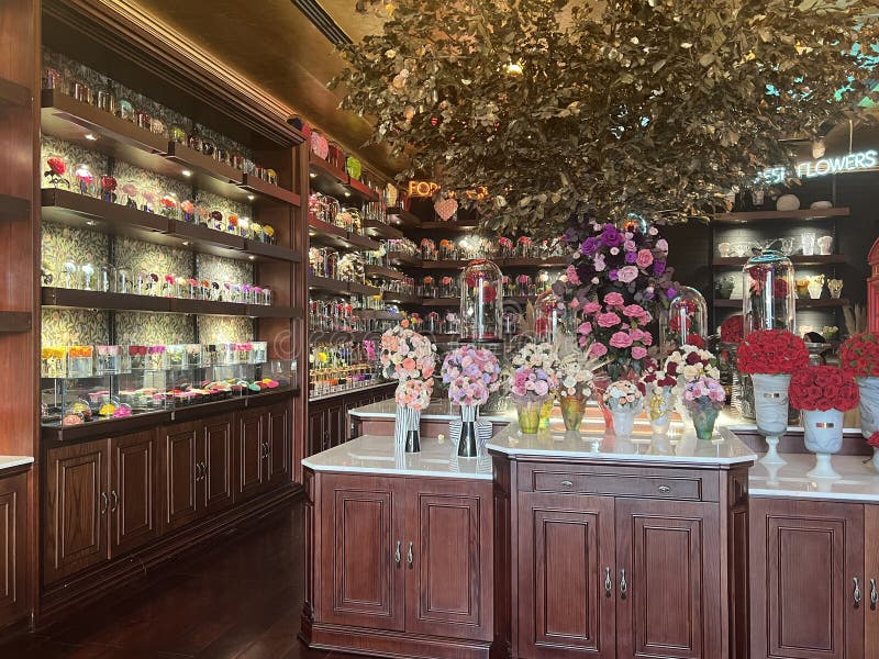 Satwa Light Stock Photos - Free & Royalty-Free Stock Photos from Dreamstime