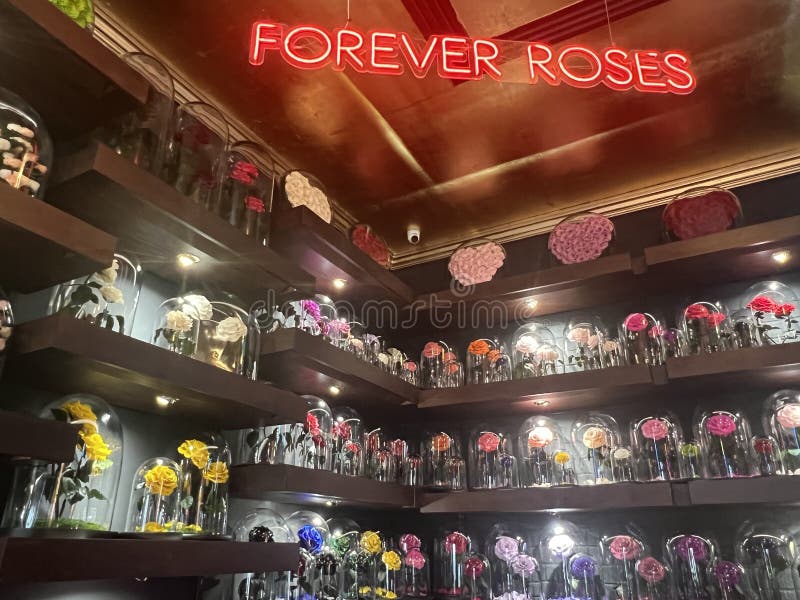 Forever Rose Store at BoxPark Development in Dubai, UAE Editorial Stock ...