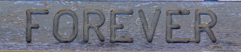 Forever stock image. Image of plank, forever, engraved - 49057453
