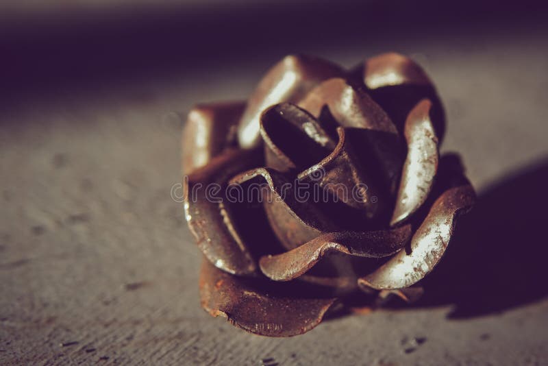 Forged Metal Rose. Handmade Metal Rose Stock Image - Image of rose ...