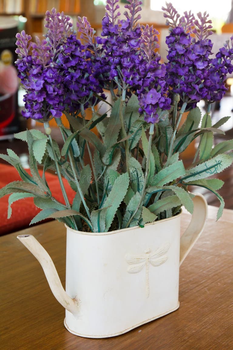 Forget Me Not Fake Pin Stock Photos - Free & Royalty-Free Stock Photos ...