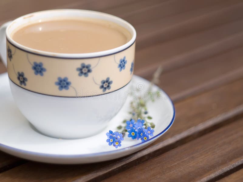 Forget - me-not stock image. Image of white, arabica - 25014423