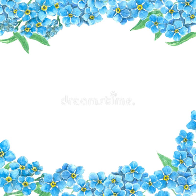 Forget me not frame stock illustration. Illustration of aquarelle ...