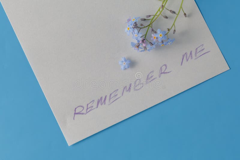 Forget-me-not Flower on Note Stock Image - Image of advertise ...