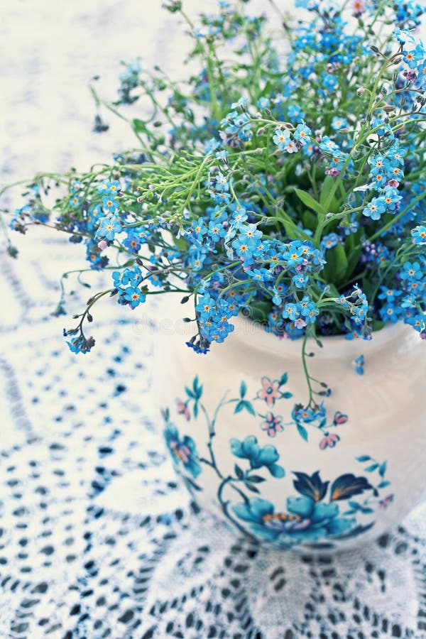 Forget-me-not flowers stock photo. Image of leaf, beauty - 28466474