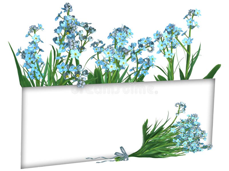 Forget-me-not Flowers, Frame Stock Illustration - Illustration of ...