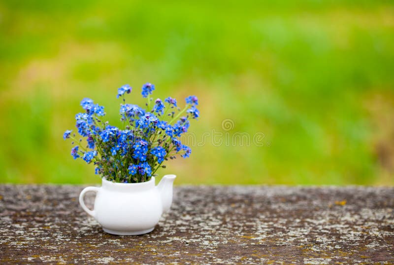 Forget-me-not Flowers in Porcelain Pot Stock Image - Image of flowers ...