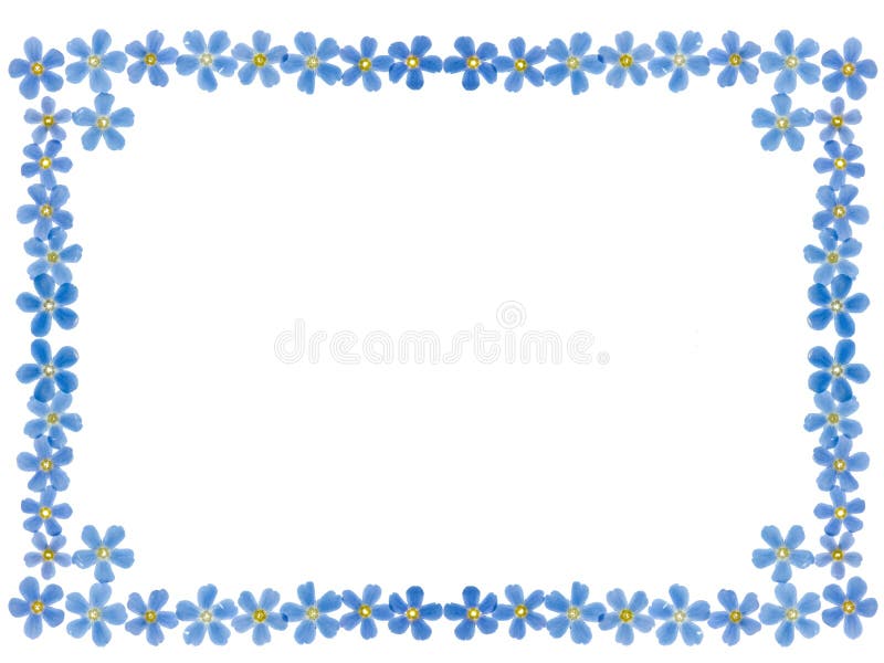 Forget-me-not frame stock image. Image of blue, flower - 9139077