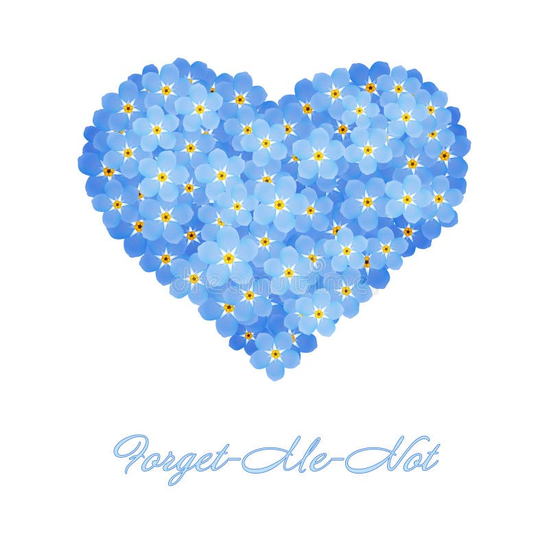 Forget-me-not Heart Stock Illustration - Image: 41224013