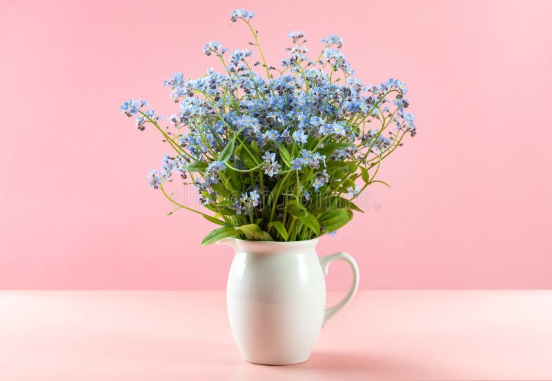 Forget Me Not on a Pink Background Stock Photo - Image of valentine ...