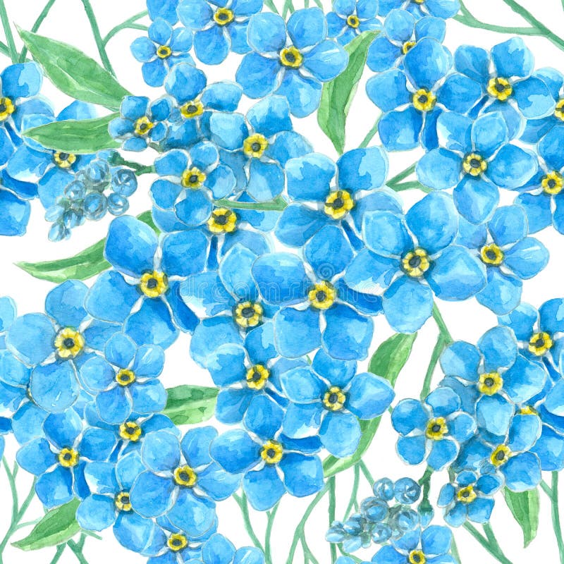Forget Me Not Seamless Pattern Stock Illustration - Illustration of ...