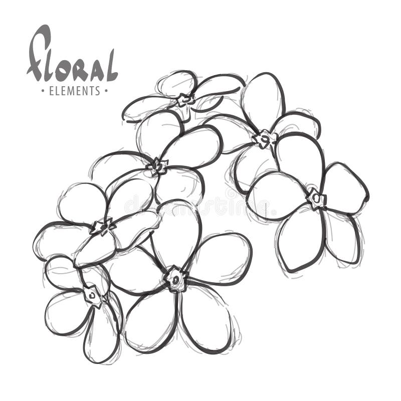 Forget Me Nots Outline Stock Illustrations – 90 Forget Me Nots Outline ...