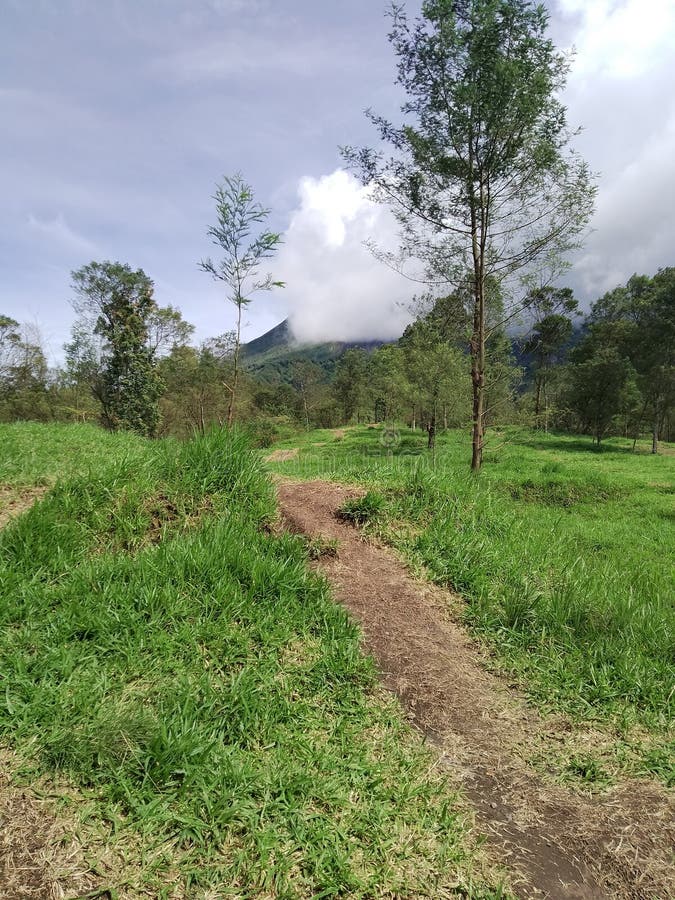 Forget for a Moment To Enjoy the Scenery Stock Image - Image of shrub ...
