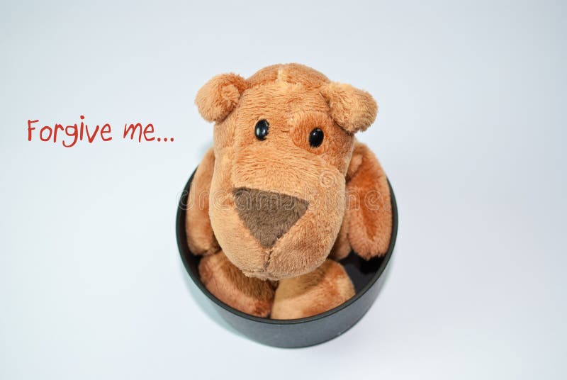 Forgive Me stock photo. Image of stuff, lonely, cute - 18450450