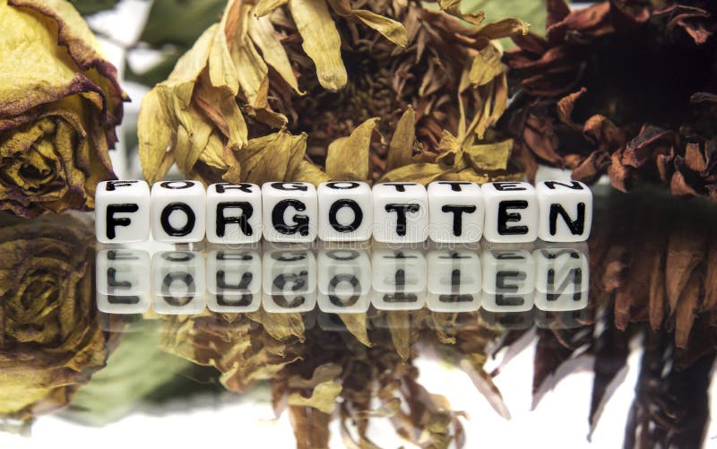 Forgotten stock photo. Image of dead, fade, romance, leaf - 37713886